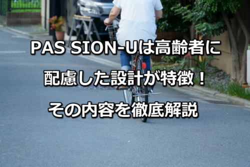 PAS SION-U（パスシオンユー）は高齢者に配慮したデザインが特徴！その内容を徹底解説